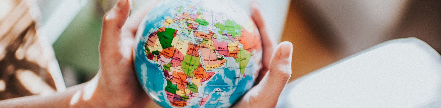 Global Project Teams: A Practitioner’s Guide to the 5 Competencies ...