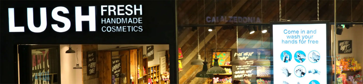Walking the Talk of Sustainability Practices: The Case of Lush Retail ...